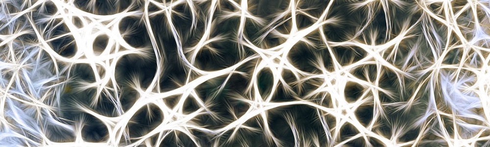 Neural Networks in Games | Innovecs Games